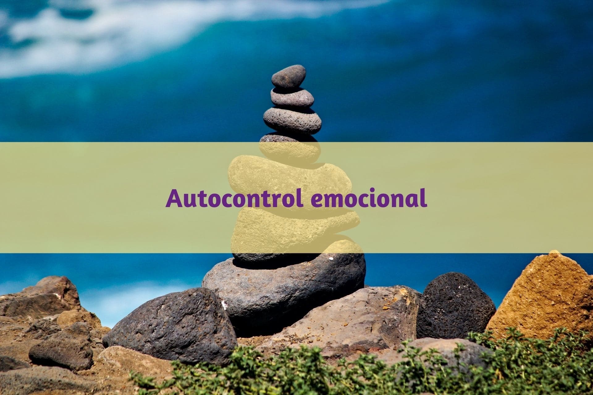 Autocontrol emocional - Dyadis Psicologia